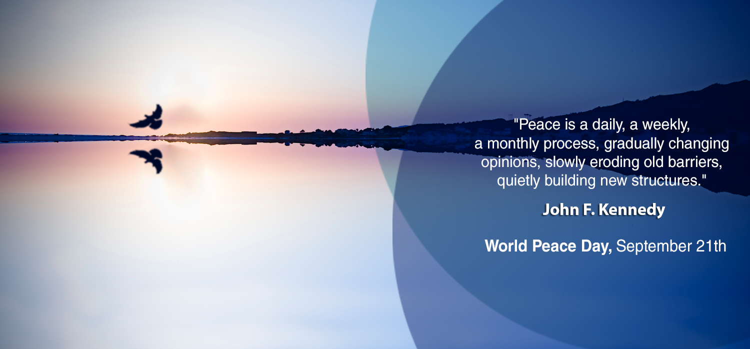 RMI International Security Services